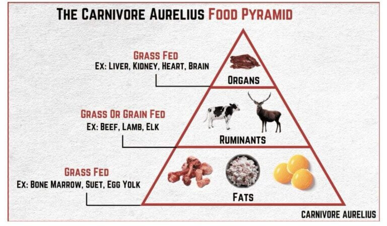 Carnivore Diet: Everything you need to know! • Nutrition